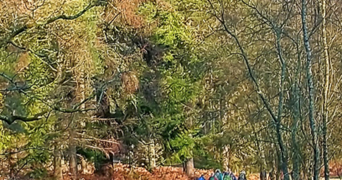 Cadnams Pool Circular - Ramblers